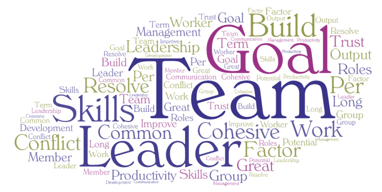 5 Essential Principles for Building a Cohesive and Effective Leadership ...